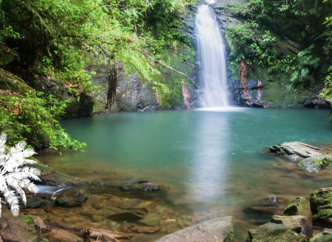 Activities | Holistica Belize