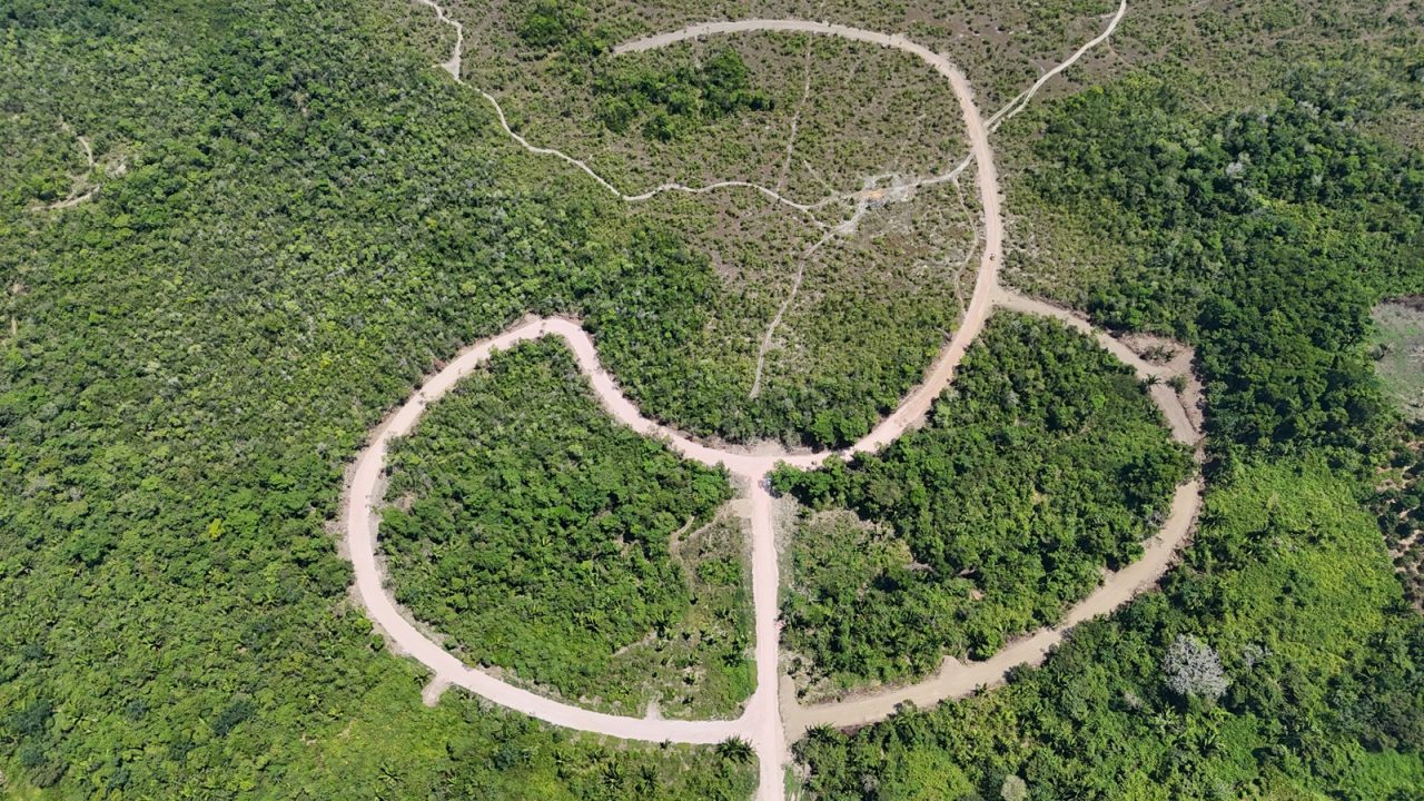 Progress | Holistica Belize